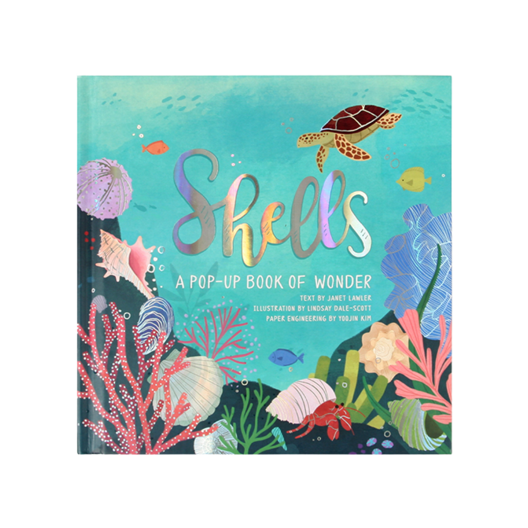 Shells: A Pop-Up Book of Wonder – Cummer Museum Shop