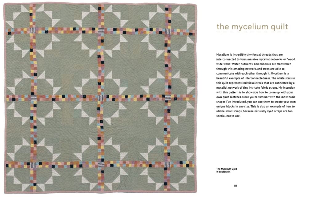 Farm and Folk Quilt Alchemy – Cummer Museum Shop